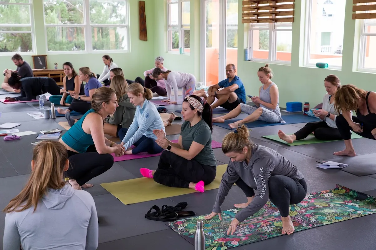 Nursing CPD Requirements: Hours, Activities & Points